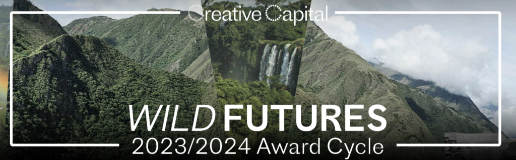 Fast Forward Wild Futures 2023/2024 Award Cycle