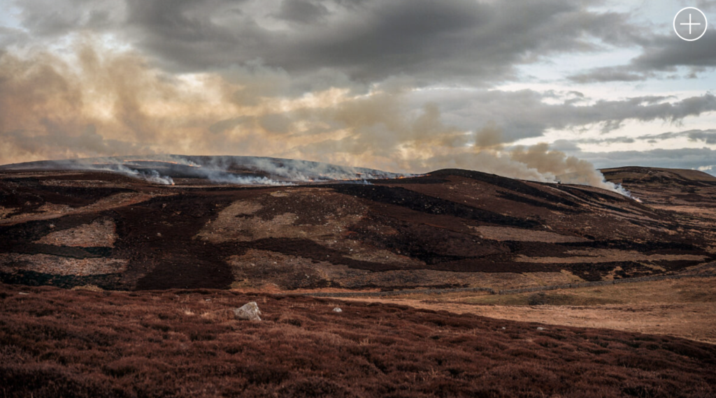 Fast Forward Jerwood/Photoworks Awards 4: Heather Agyepong and Joanne ...